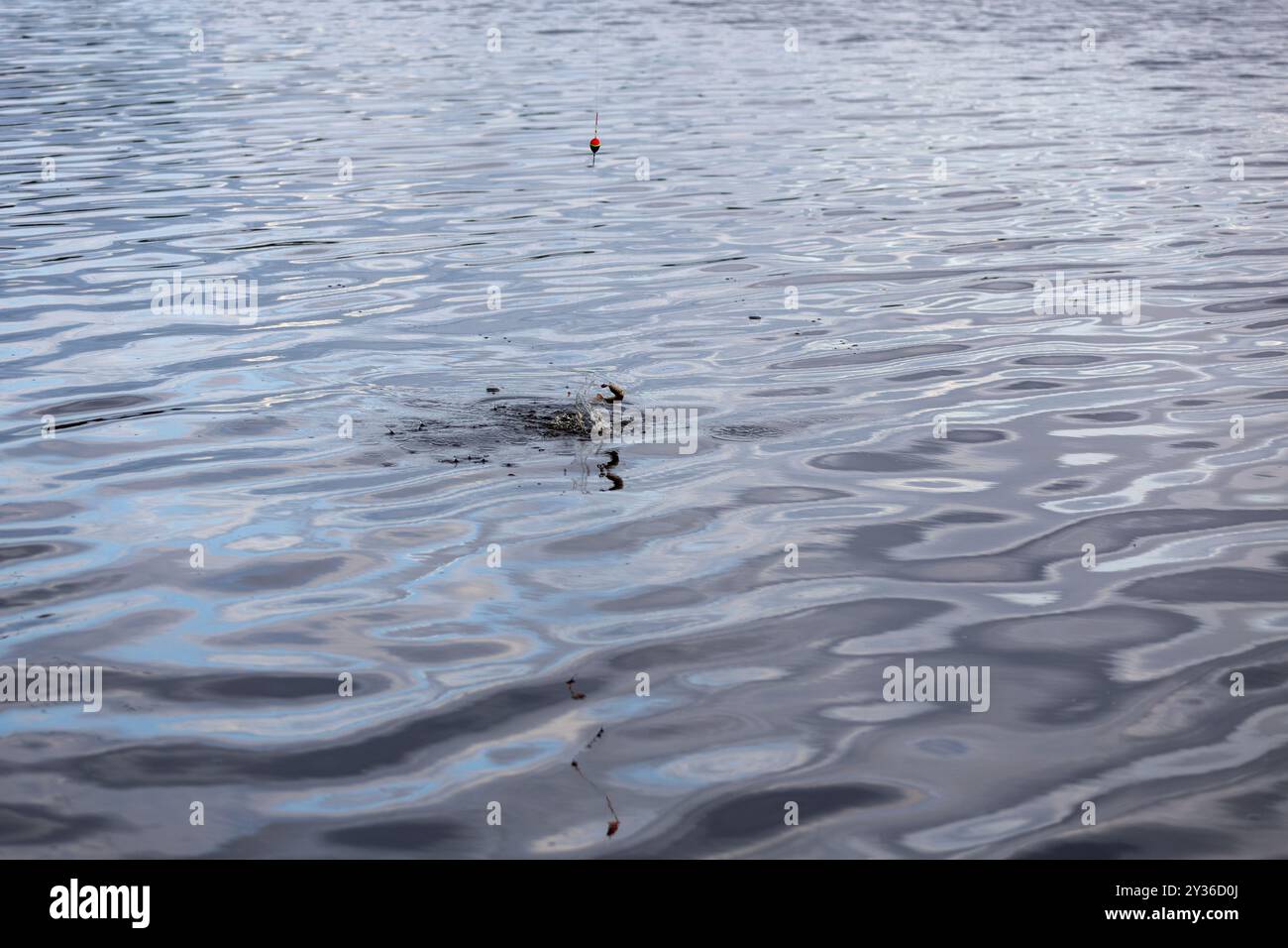 A serene lake scene with gentle ripples on the water surface. A small ...