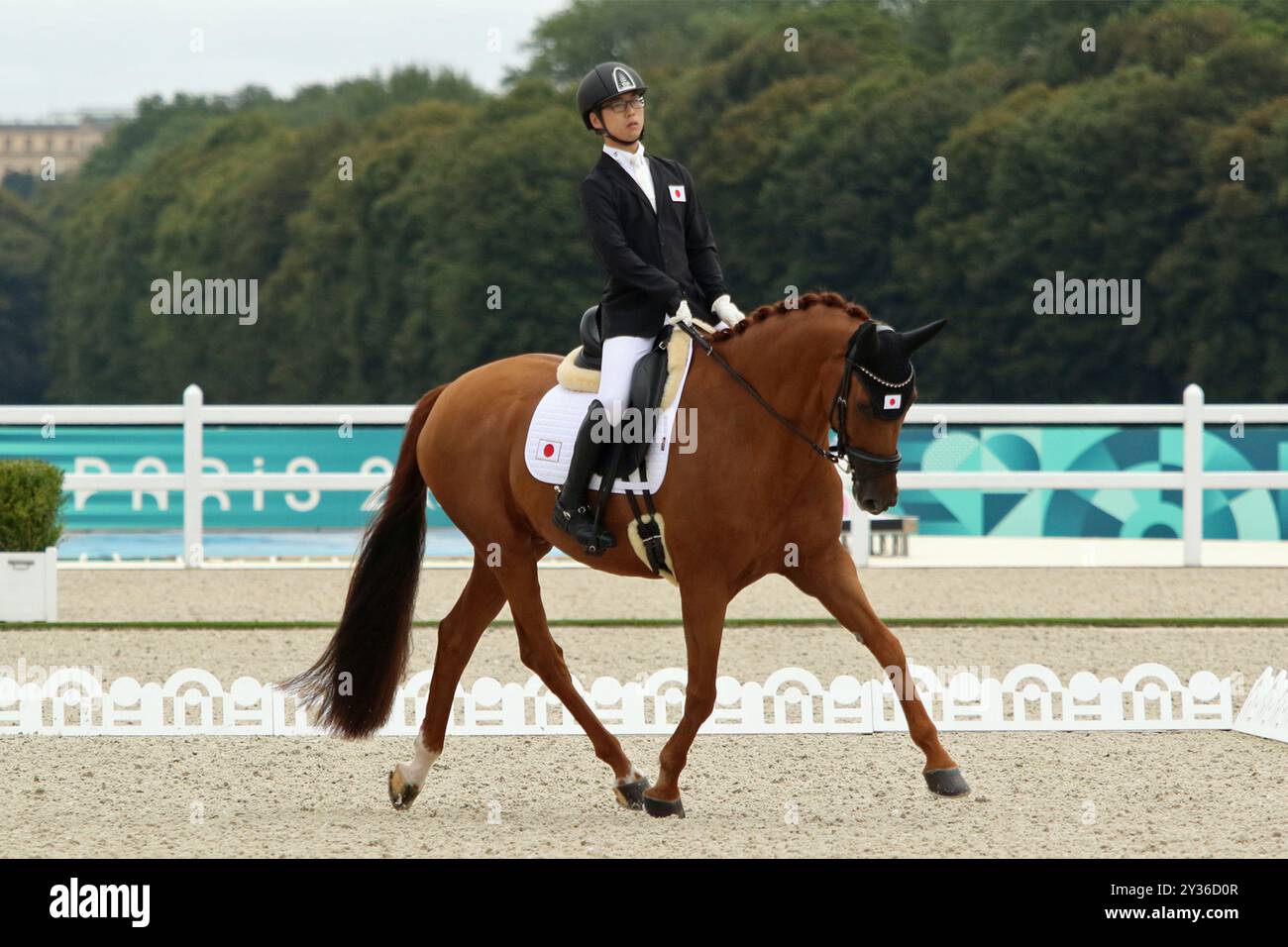 Soshi YOSHIGOE of Japan on the horse JAVYRO - Para Equestrian ...