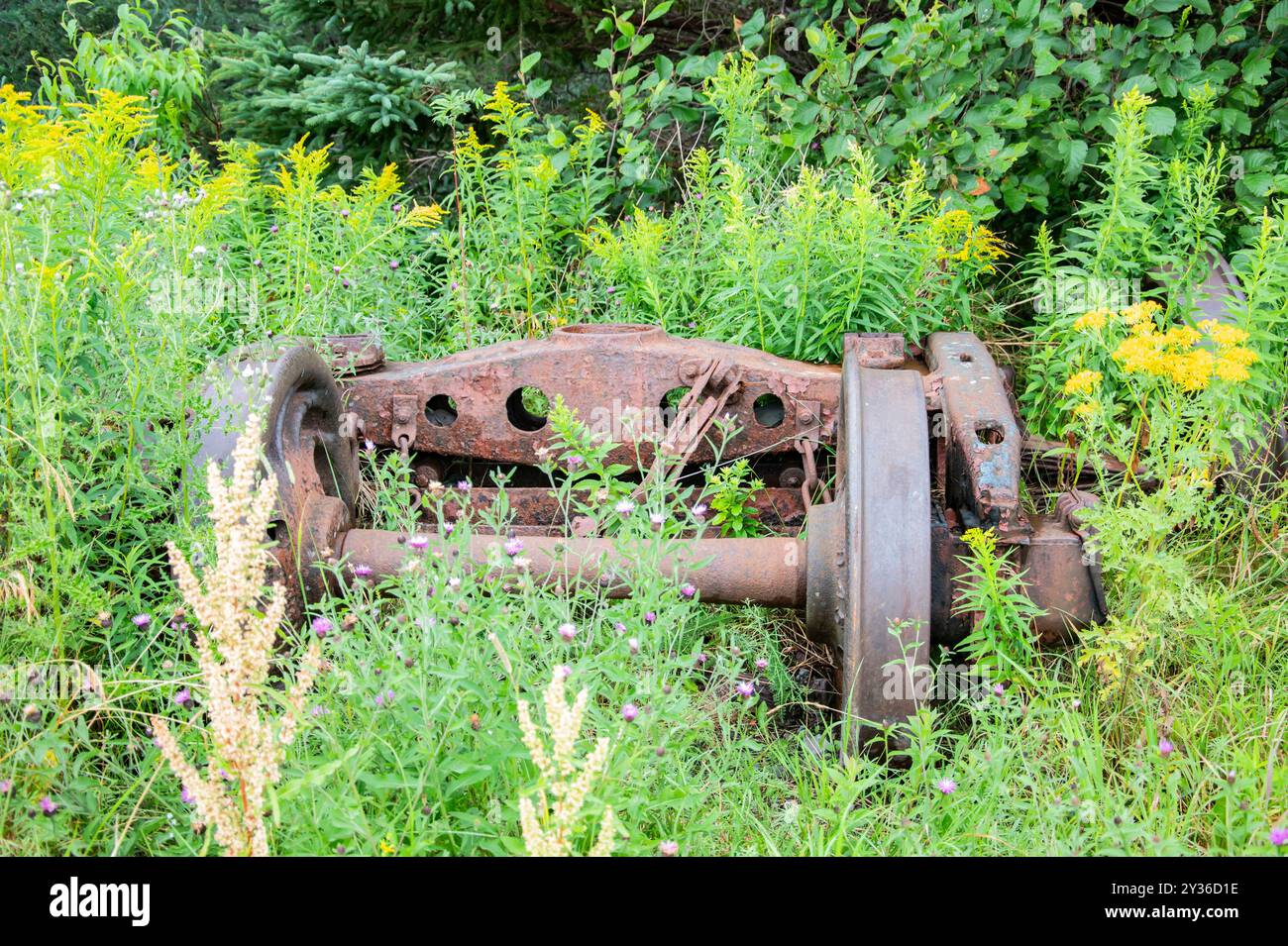 Discarded abandoned railway parts near the railway museum in Avondale ...