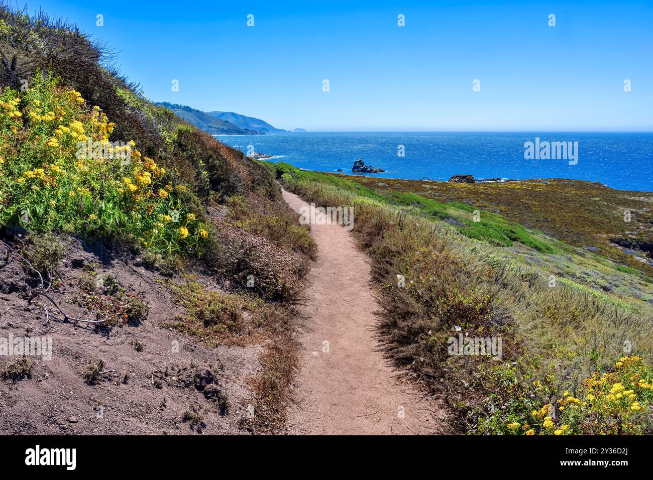 Garrapata State Park in California. Oceans, beaches, cliffs, and waves ...