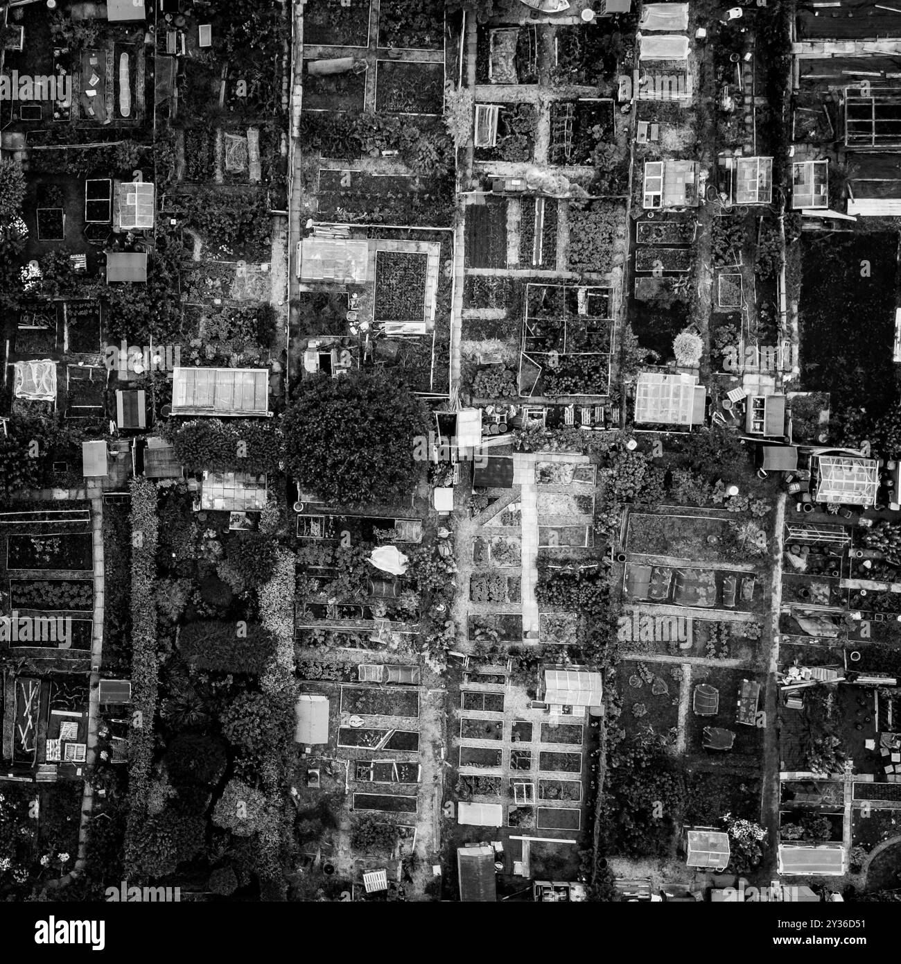 Drone view looking down onto allotments Stock Photo - Alamy