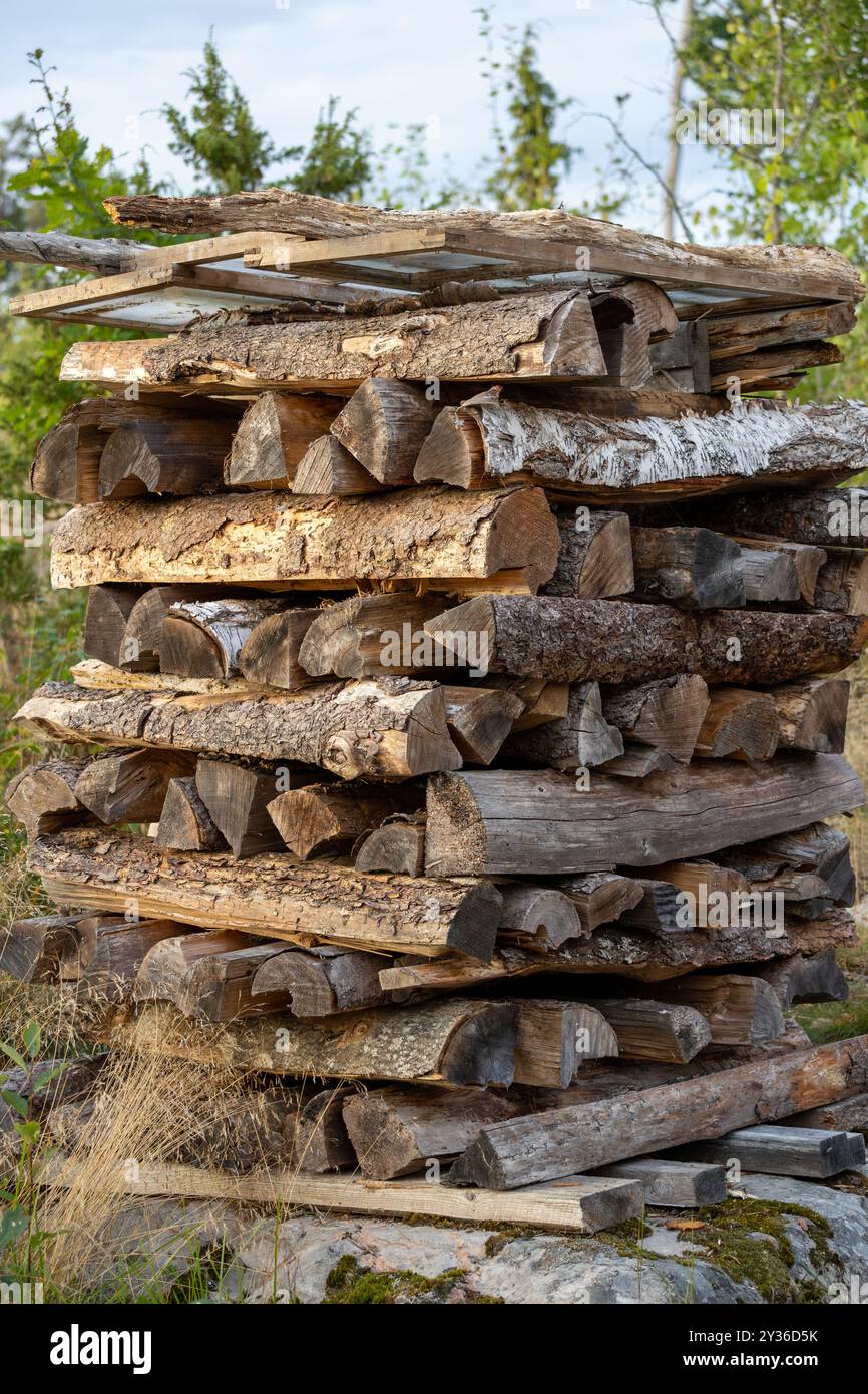 A neatly stacked pile of firewood in a natural outdoor setting ...