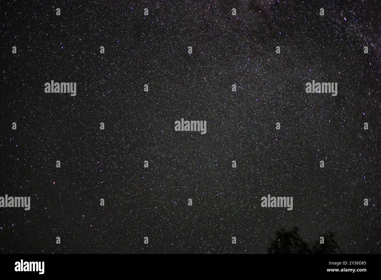 A stunning night sky filled with countless stars, showcasing the beauty ...