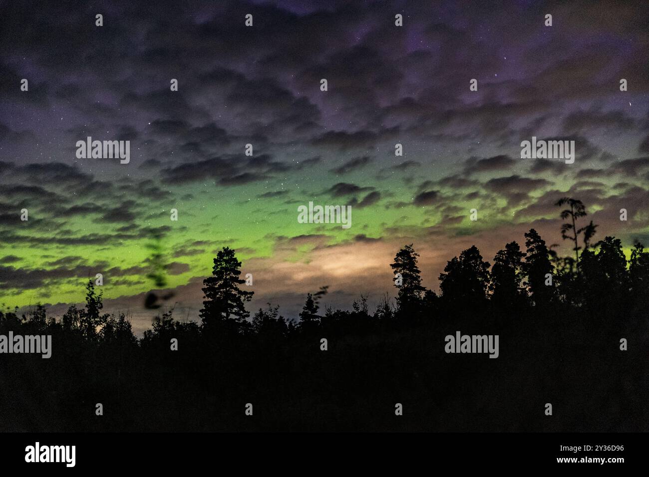 A stunning night sky displaying the northern lights with vibrant green ...