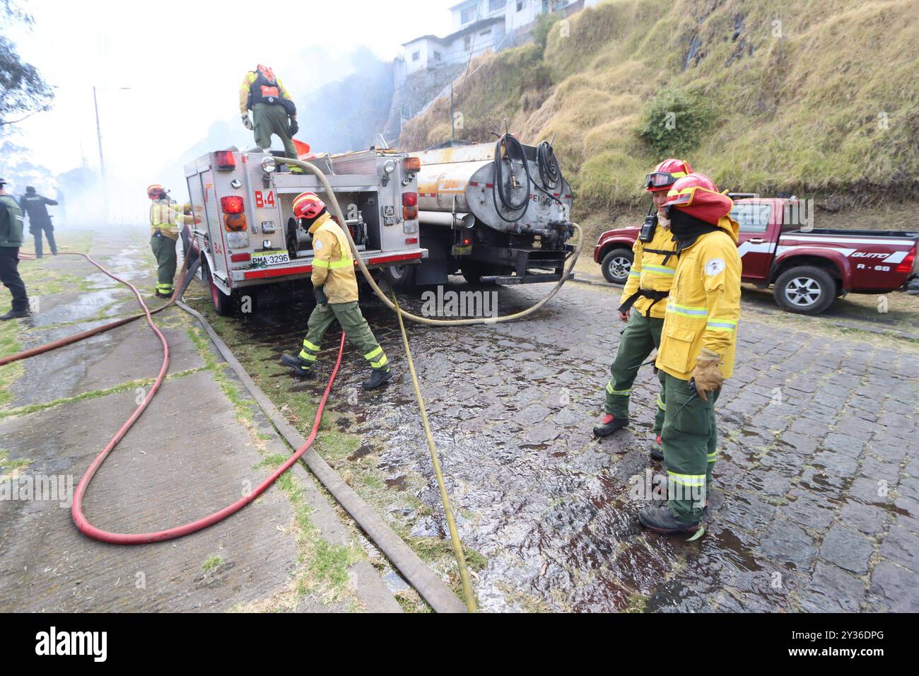 Bosque en ecuador hi-res stock photography and images - Alamy