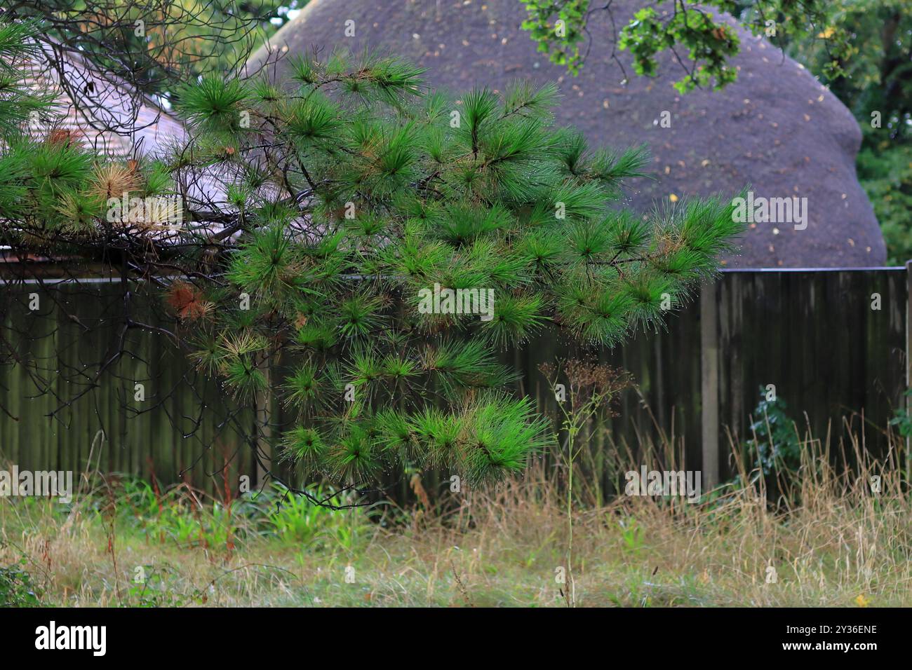 Rowner Lane, Gosport, Hampshire, England. 6 September 2024. A view from ...