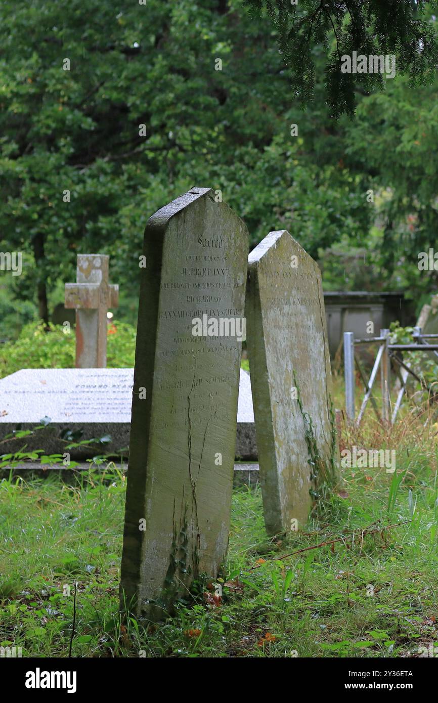 Rowner Lane, Gosport, Hampshire, England. 6 September 2024. Close up of ...