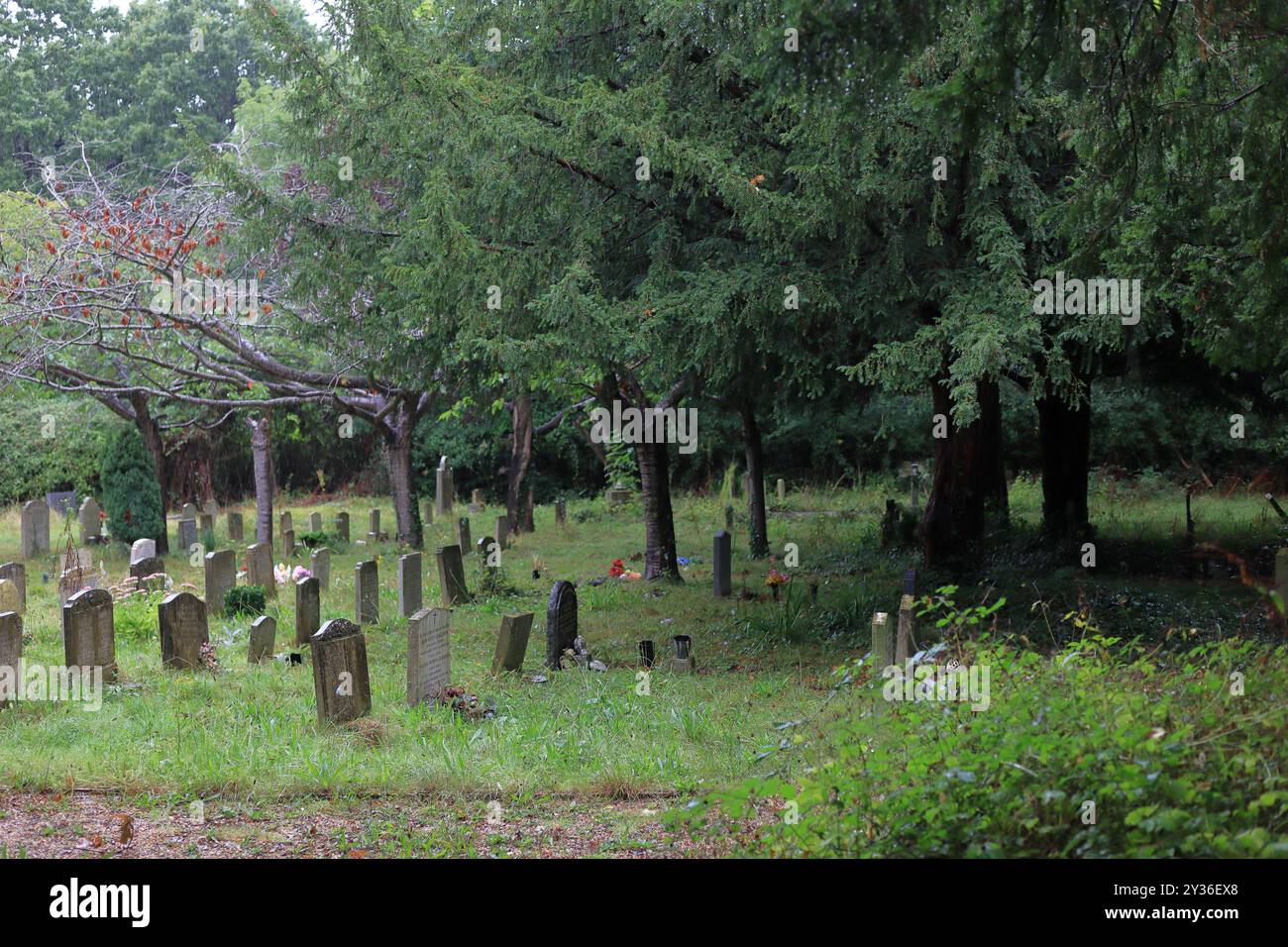 Rowner Lane, Gosport, Hampshire, England. 6 September 2024. A view of ...