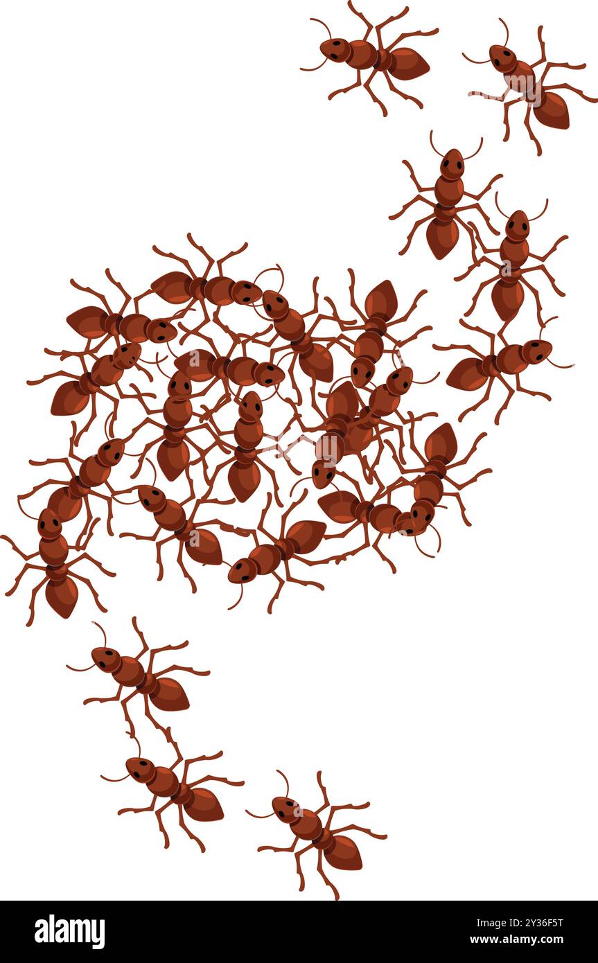 Marching ants isolated Cut Out Stock Images & Pictures - Alamy