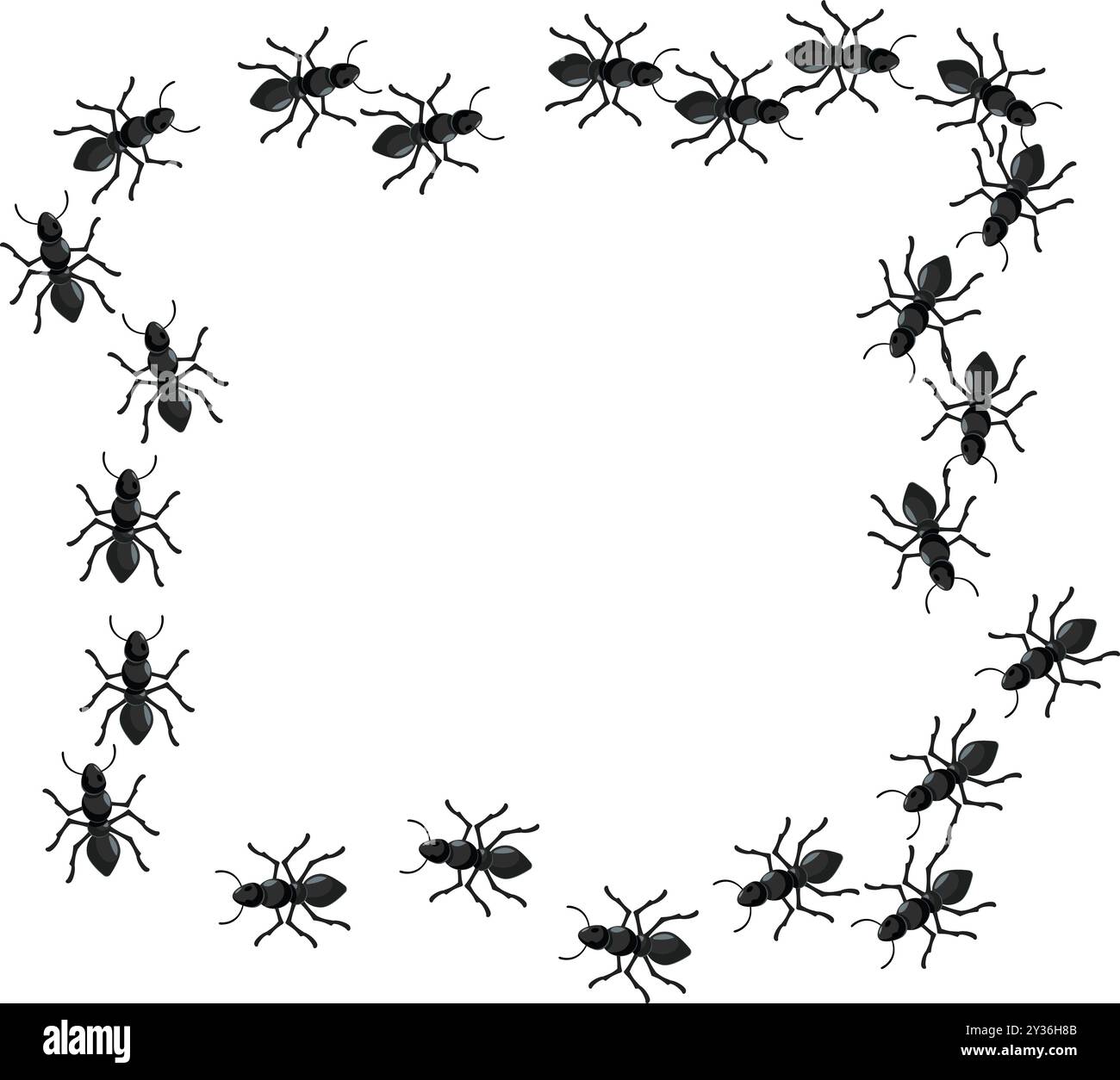 Black ants are forming a square shape on a white background Stock ...