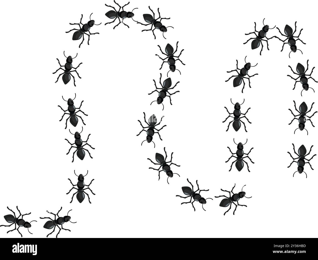 Ants walking on white Stock Vector Images - Alamy