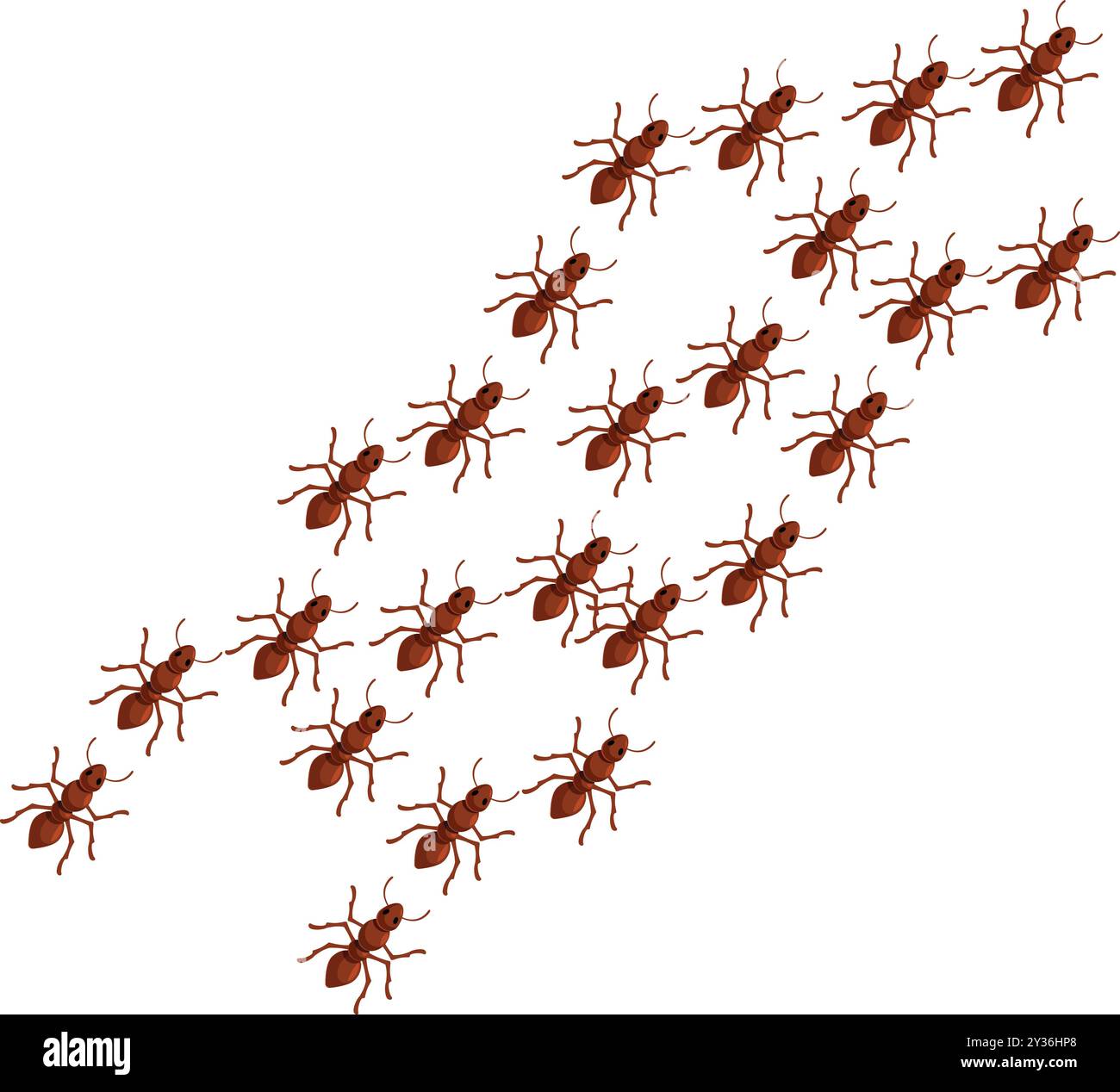 Colony of ants is marching together in a row on a white background ...