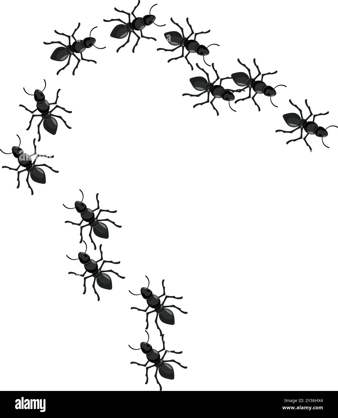 Close up black ants Stock Vector Images - Alamy