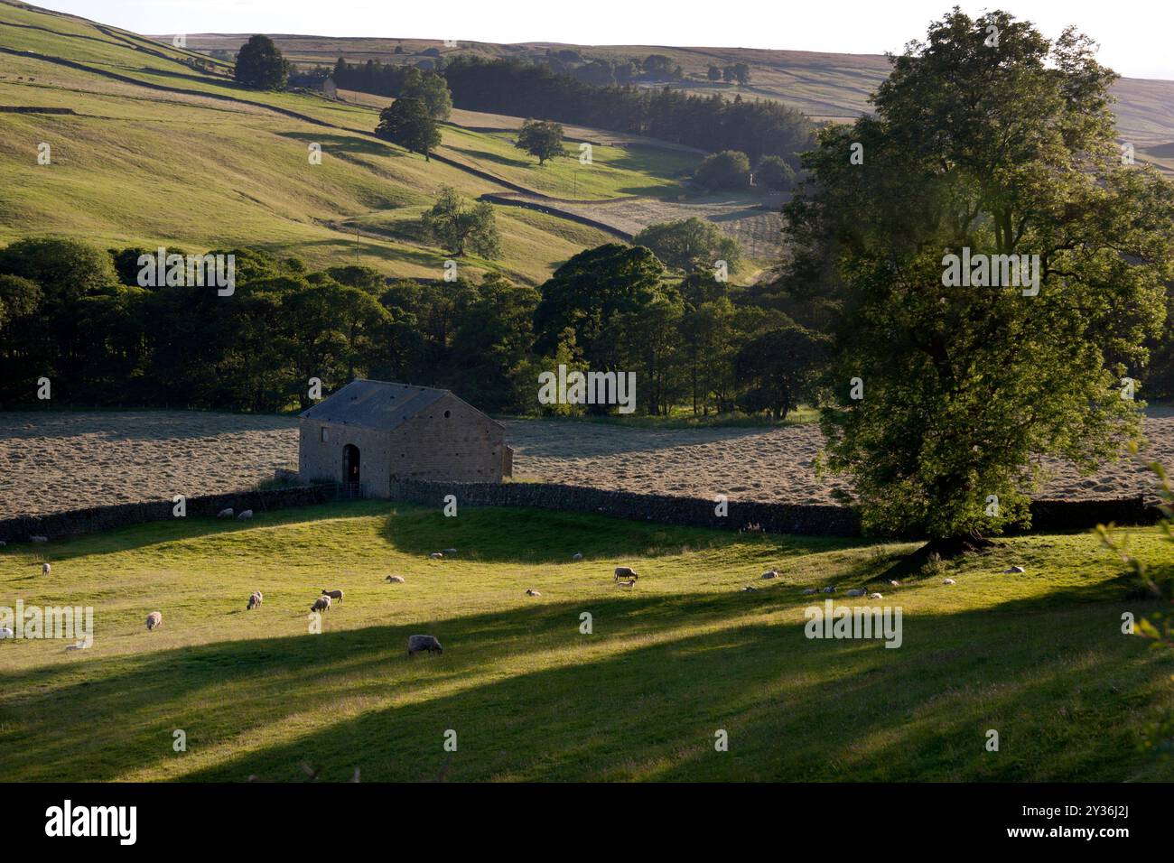 Middlesmoor views hi-res stock photography and images - Alamy