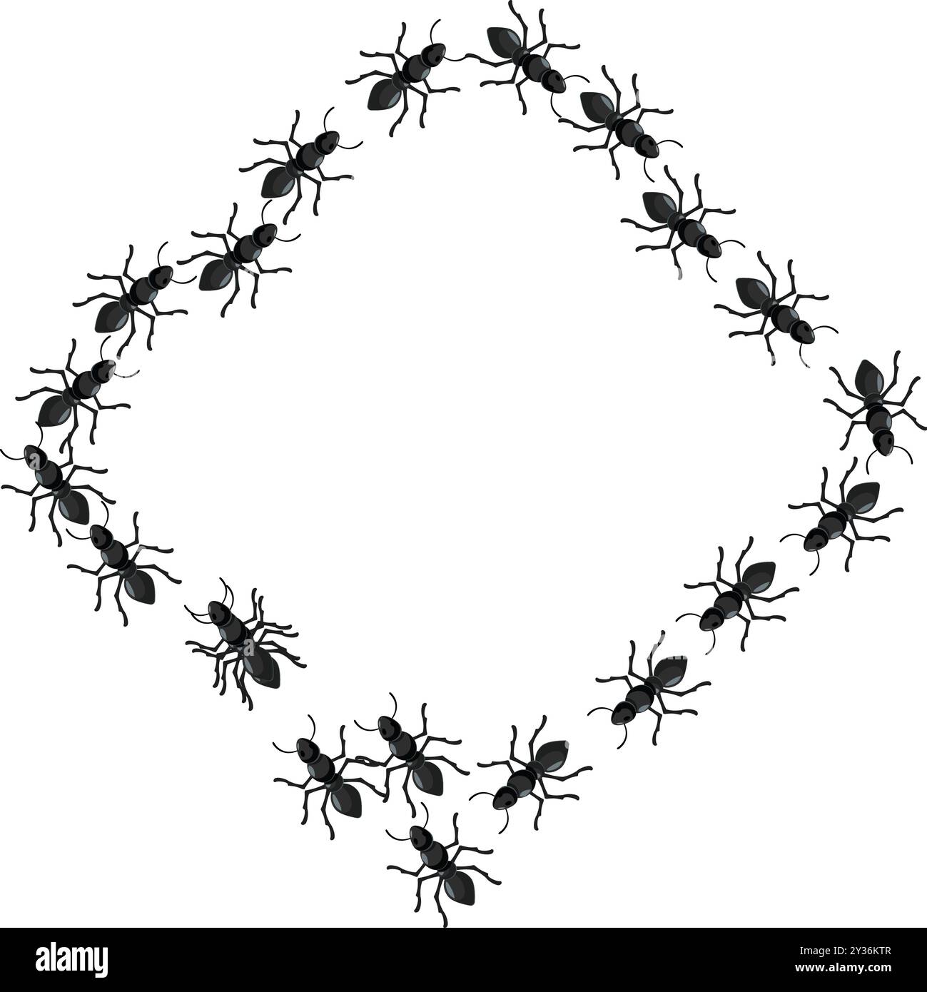 Black ants are forming a diamond shape on a white background Stock Vector Image & Art - Alamy