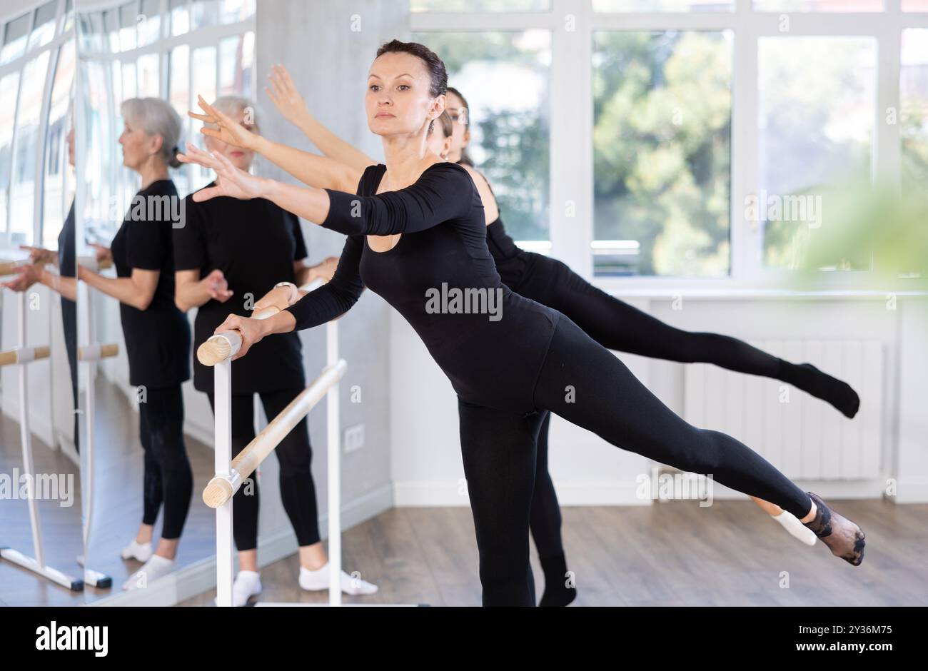 Group of people doing ballet exercises using barre in studio Stock ...