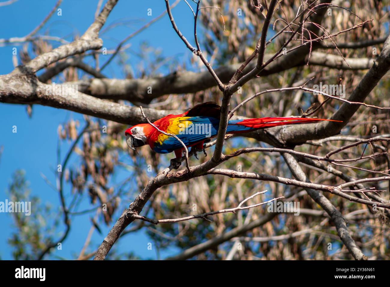 Arcoiris rojo hi-res stock photography and images - Alamy