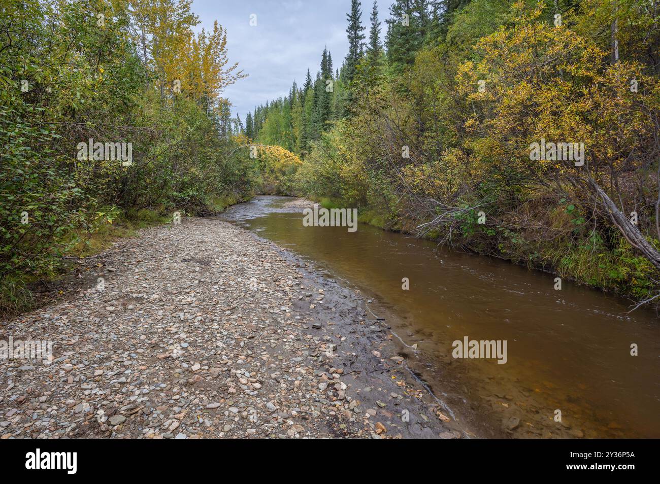 Autumn view of Bonanza Creek, site of the original Klondike gold ...