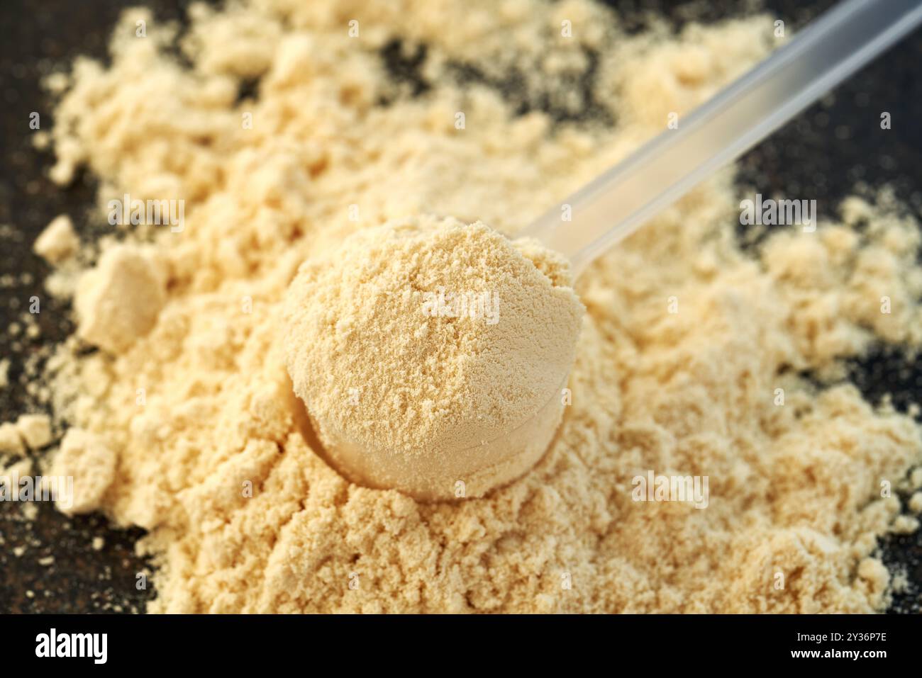 Vanilla flavored whey protein powder - nutritional supplement, close up ...