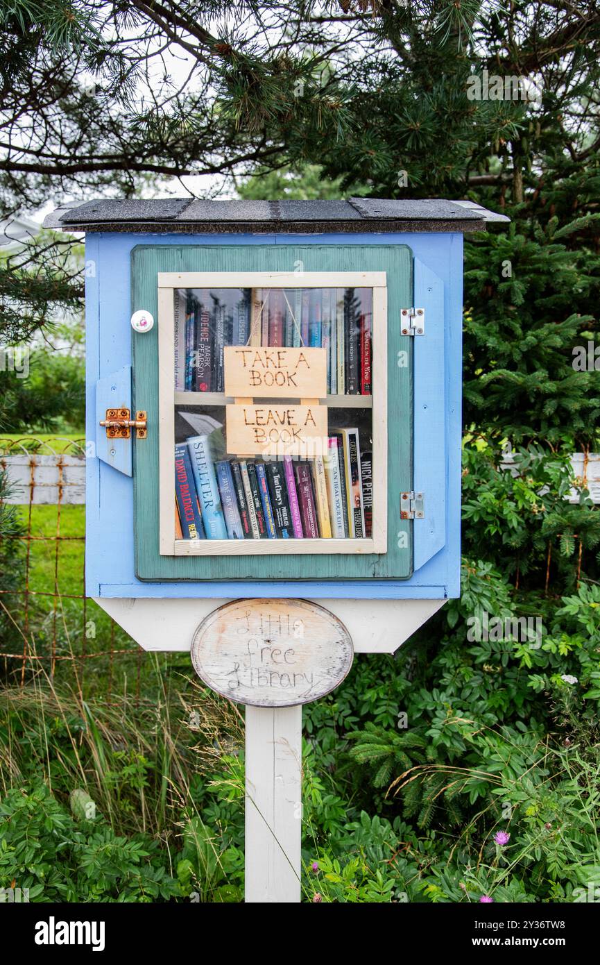 Little tree library on hi-res stock photography and images - Alamy