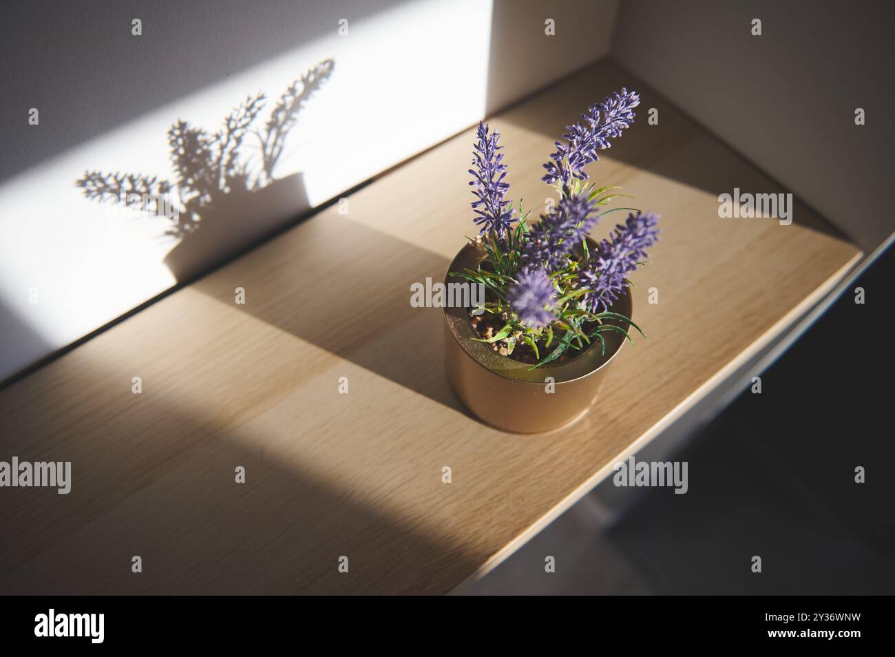 Sense of botanical elegance hi-res stock photography and images - Alamy