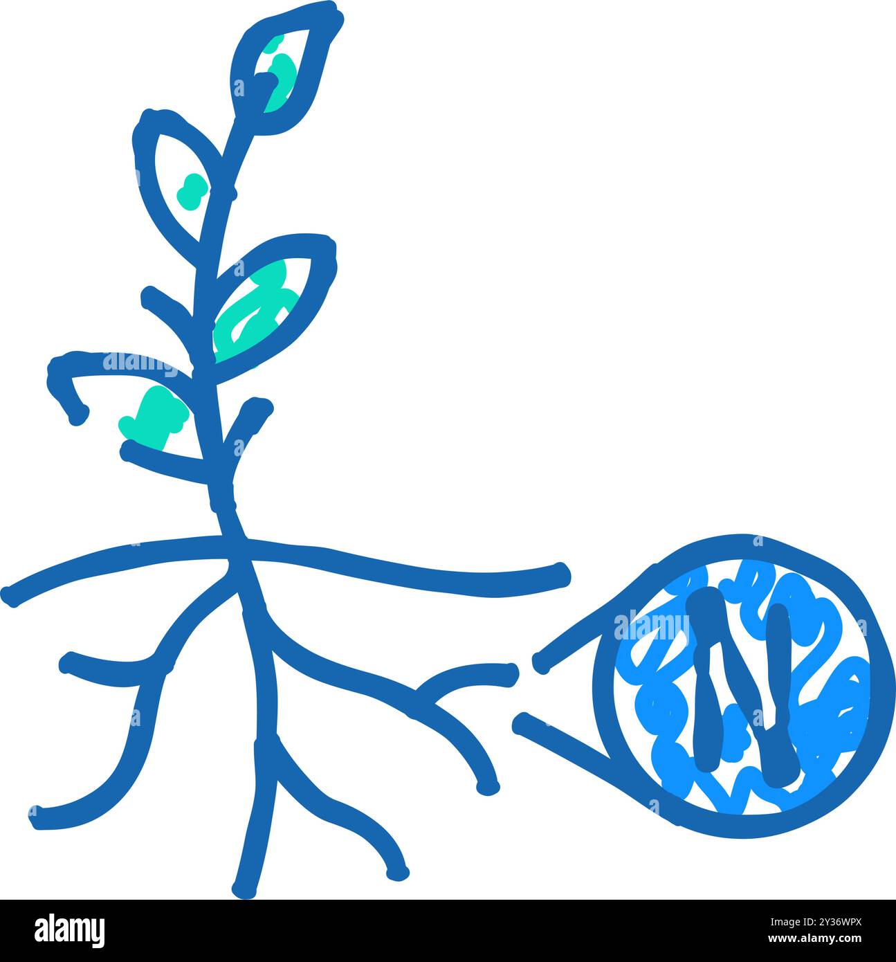 nitrogen fixation environmental icon doodle illustration Stock Vector ...
