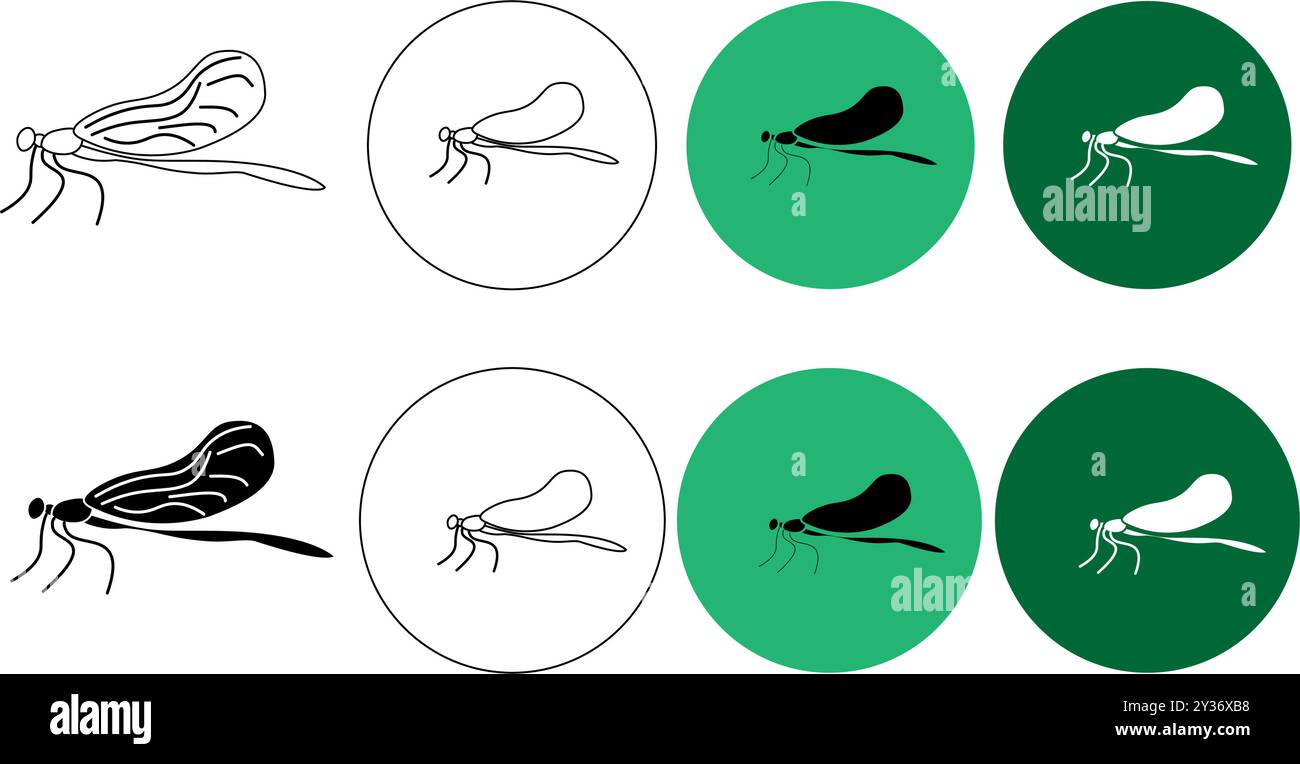 Set of line dragonflies. Collection of insects with beautiful patterns ...