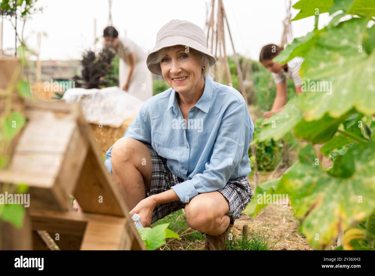 Italian mature female hi-res stock photography and images - Alamy