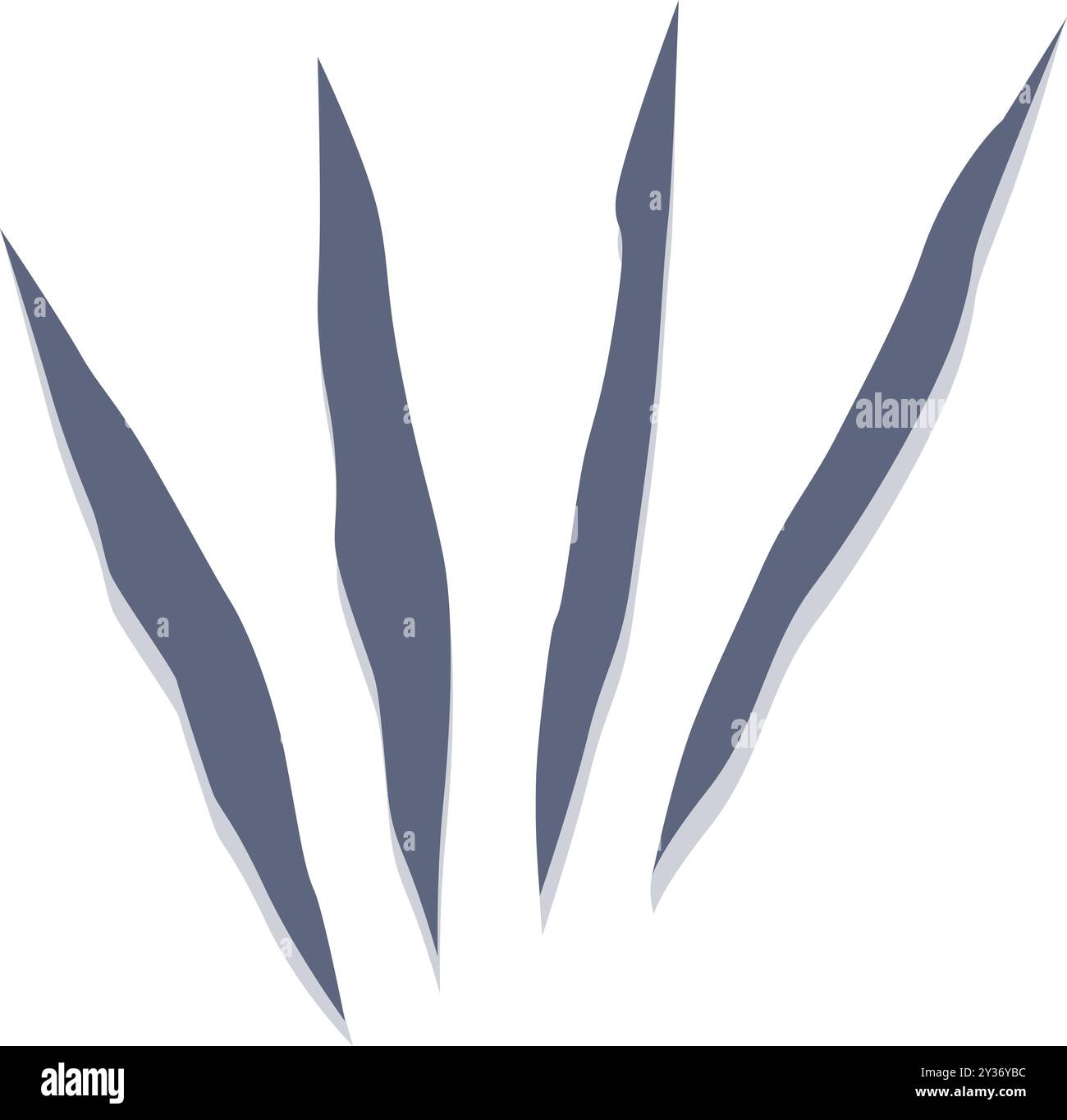 Four sharp claws are scratching, leaving deep cut marks on a white background Stock Vector Image ...