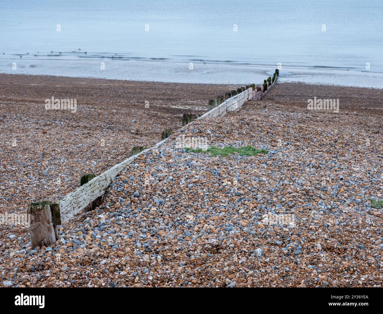 September 2024 - Sea groins on the beach at Worthing, West Sussex ...