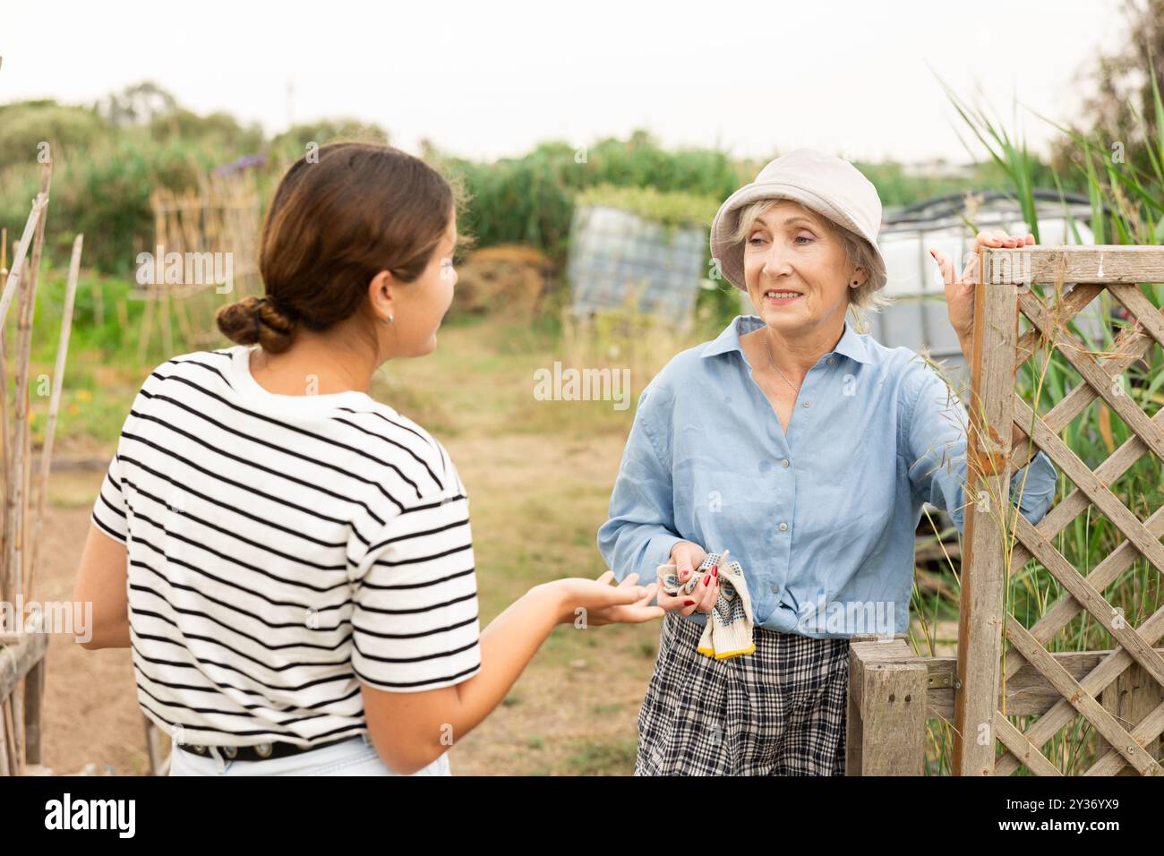 Neighbors talking backyard hi-res stock photography and images - Alamy