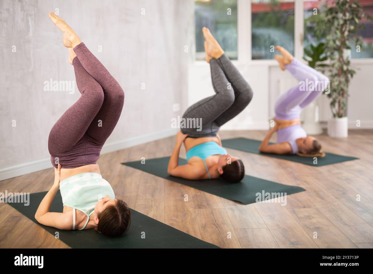 Gymnastics shoulder woman stand hi-res stock photography and images - Alamy