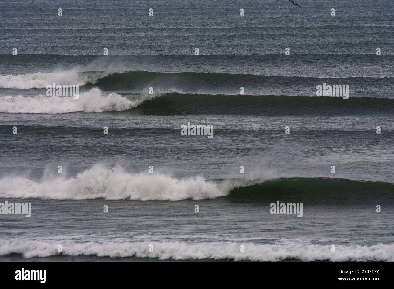 Chicama is famous for being home to one of the longest left-hand waves ...