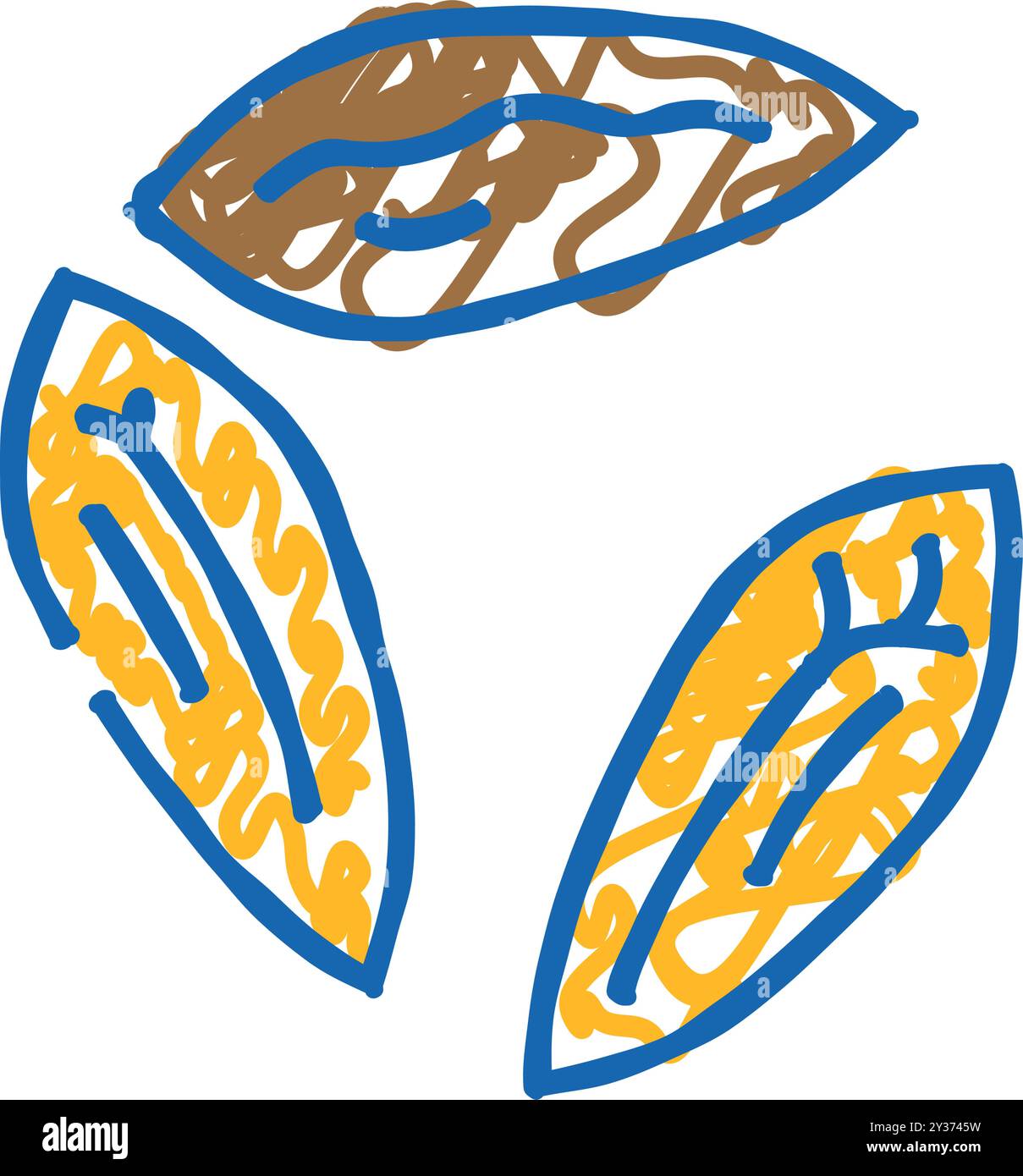 barley grain unpeeled icon doodle illustration Stock Vector Image & Art ...
