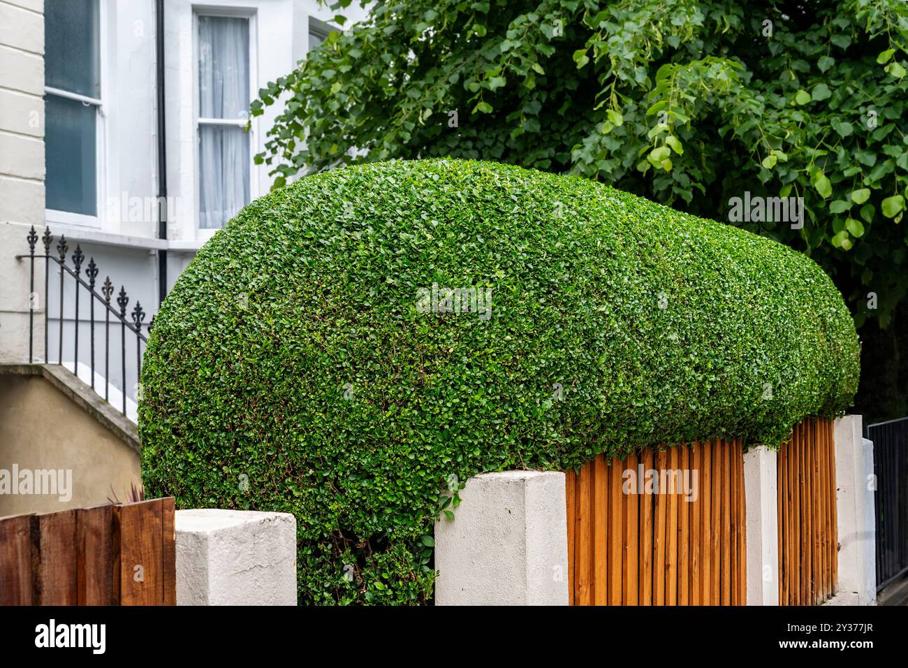 Arhitexture hi-res stock photography and images - Alamy