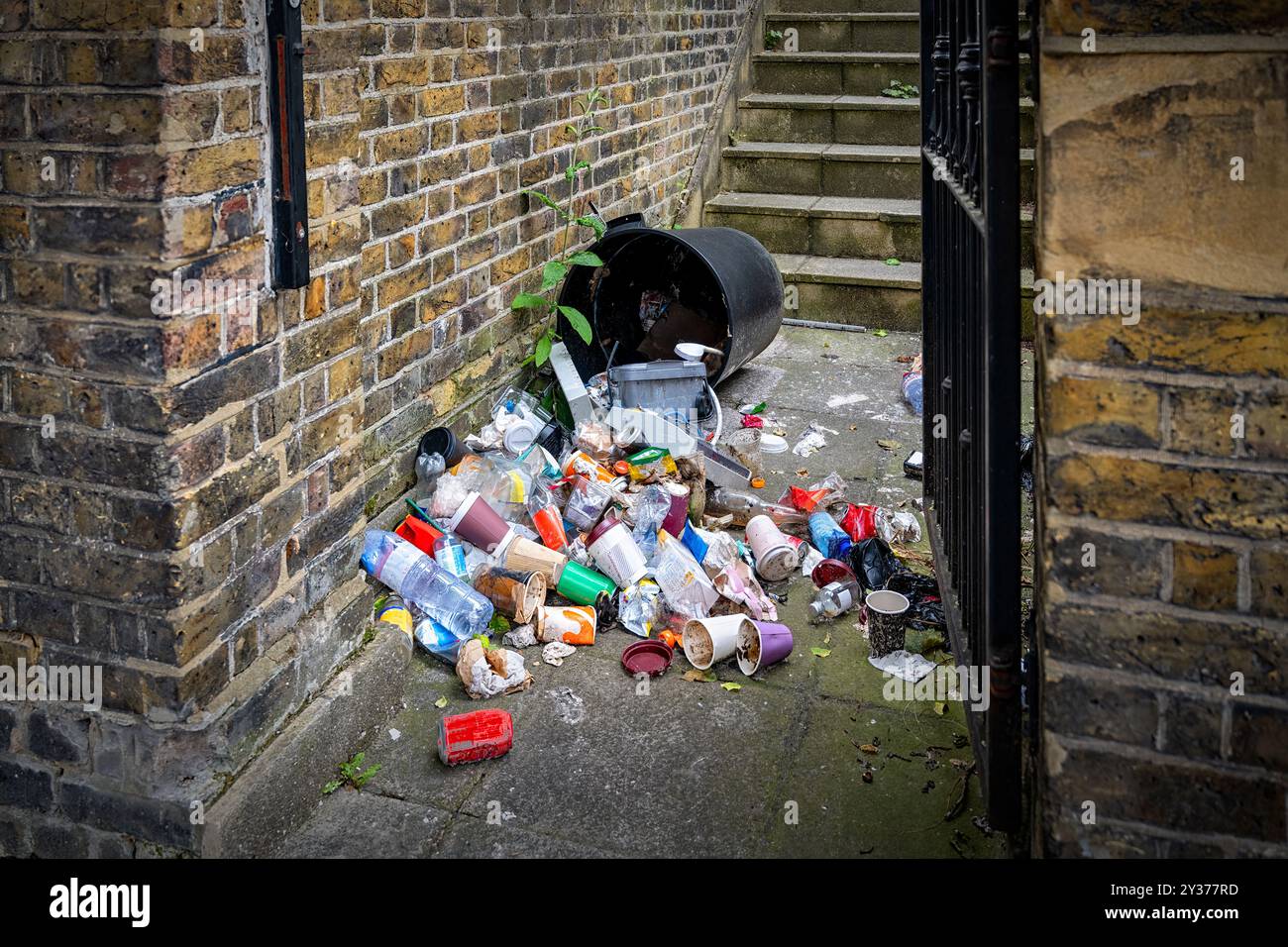 Trash and garbage littering the path to a residential building in ...