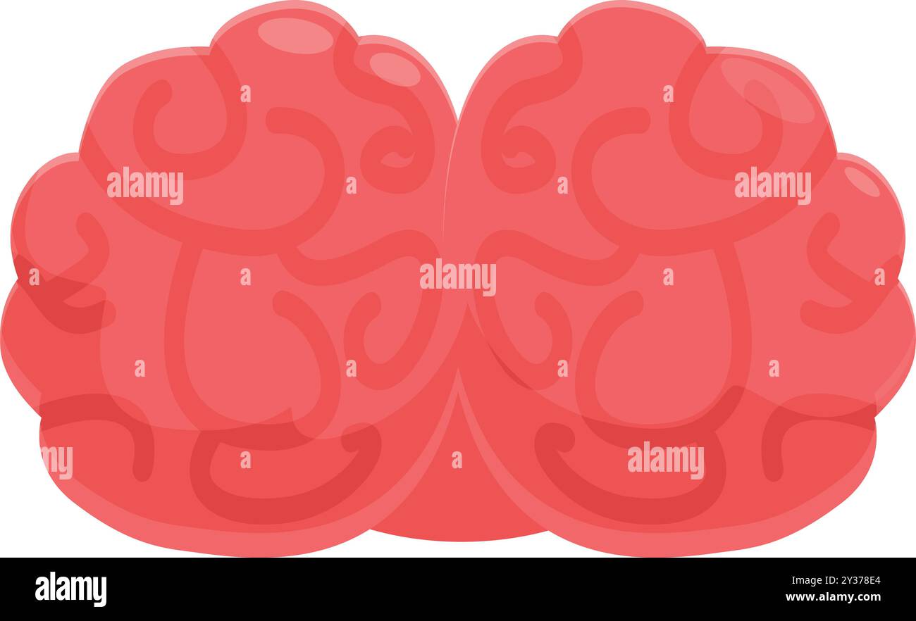 Healthy human brain representing intelligence and memory, a symbol of ...
