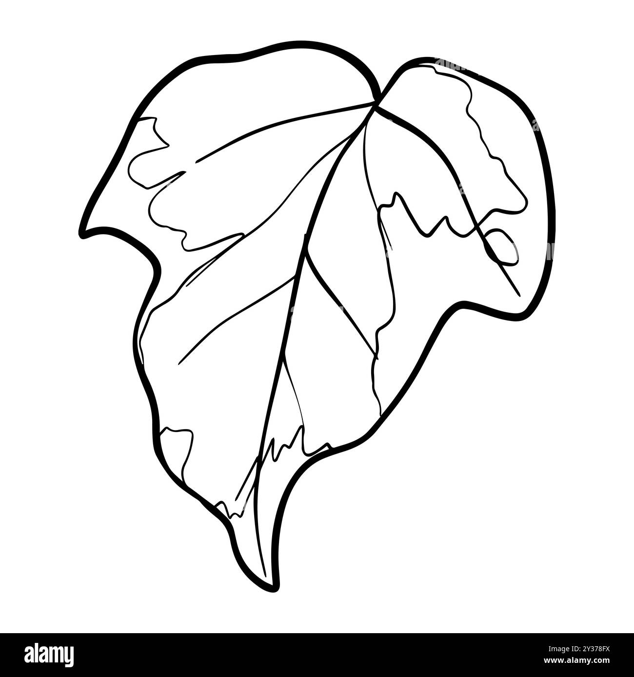 Ivy leaf graphics. Sketch illustration plant painted by black inks ...