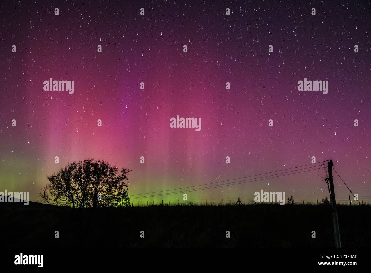 Northern Lights also know as the Aurora Borealis shine across ...