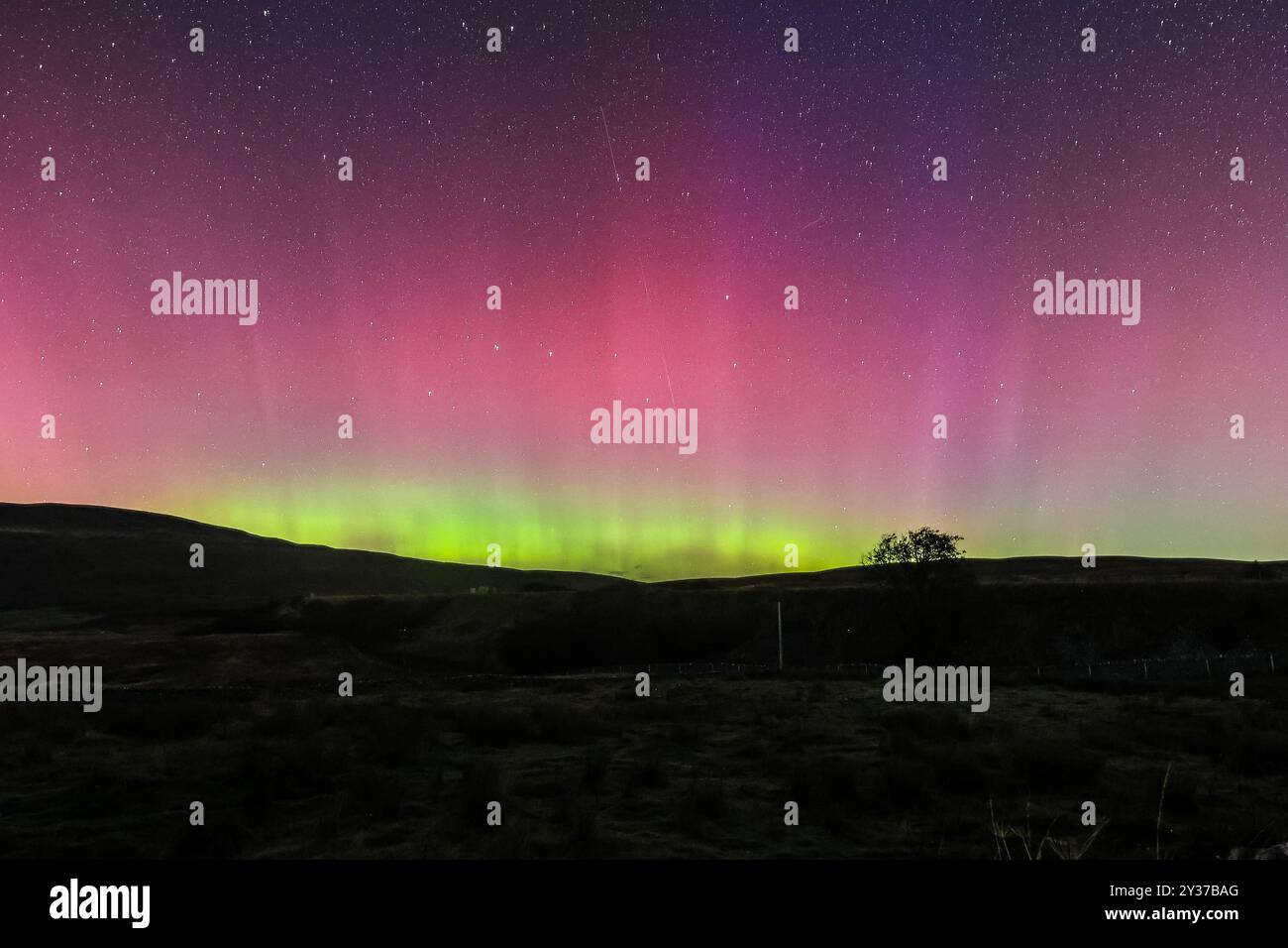 Northern Lights also know as the Aurora Borealis shine across ...