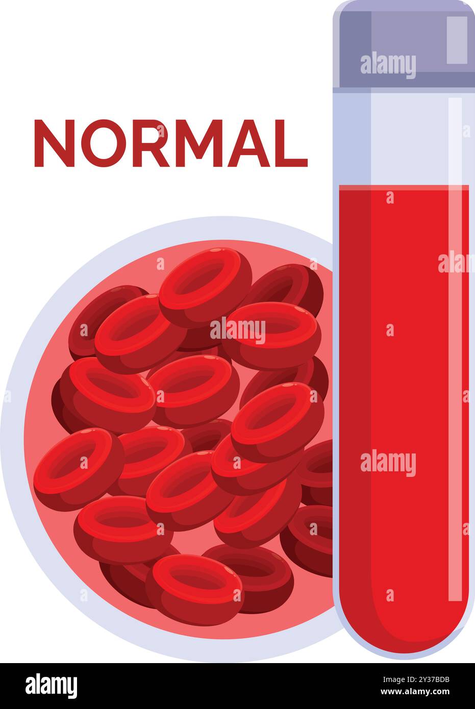 Blood test concept illustrating normal red blood cells with a test tube ...