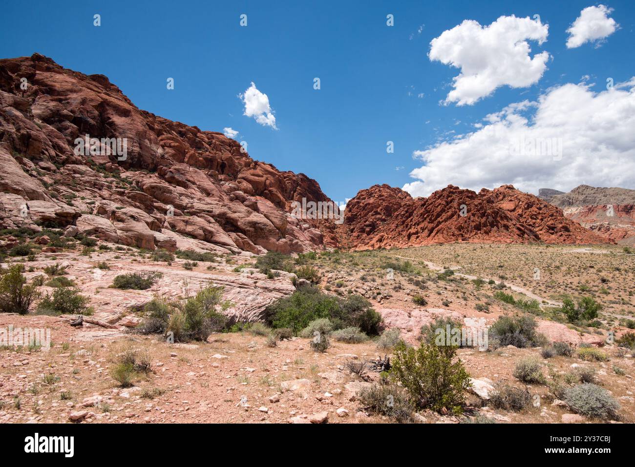 Calico Basin Trail, Red Rock Canyon, Nevada Stock Photo - Alamy