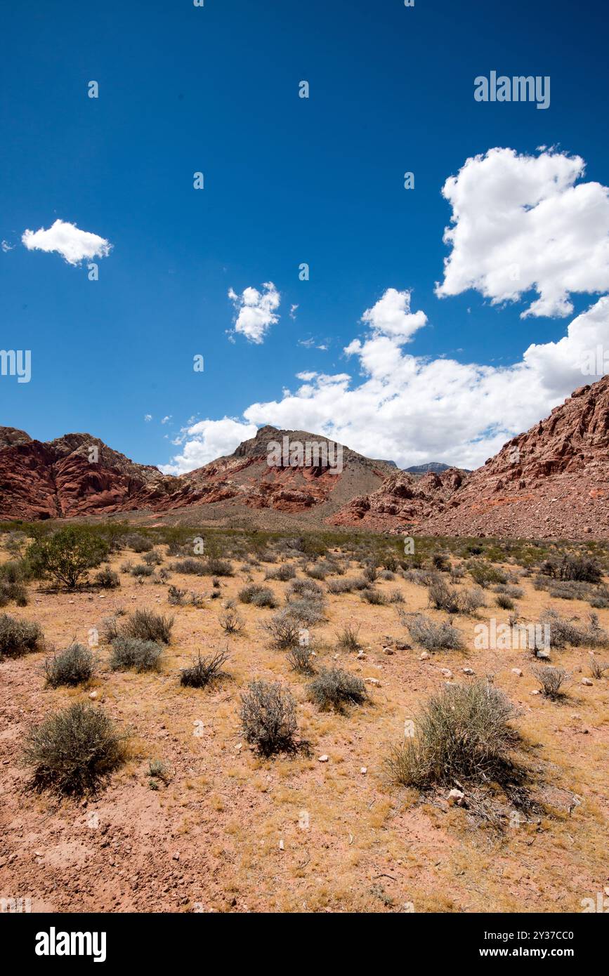 Calico Basin Trail, Red Rock Canyon, Nevada Stock Photo - Alamy