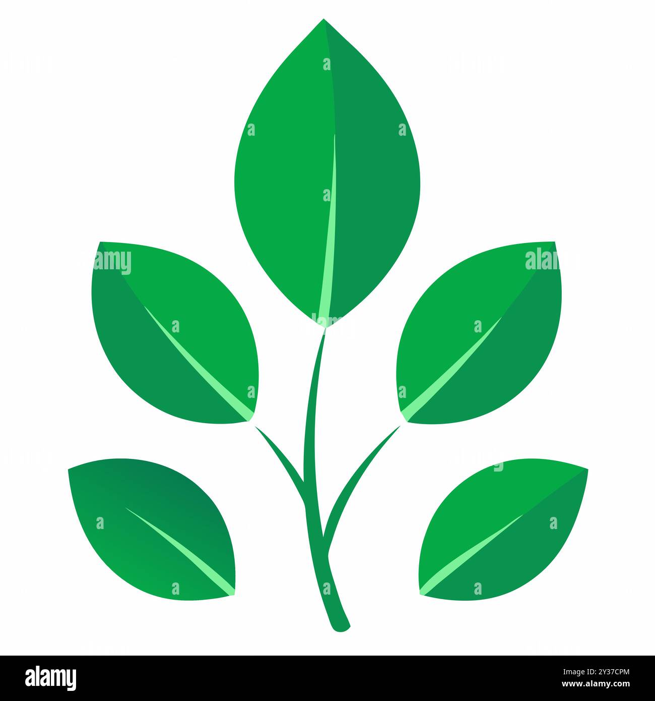 A simple yet elegant illustration of five green leaves on a stem ...