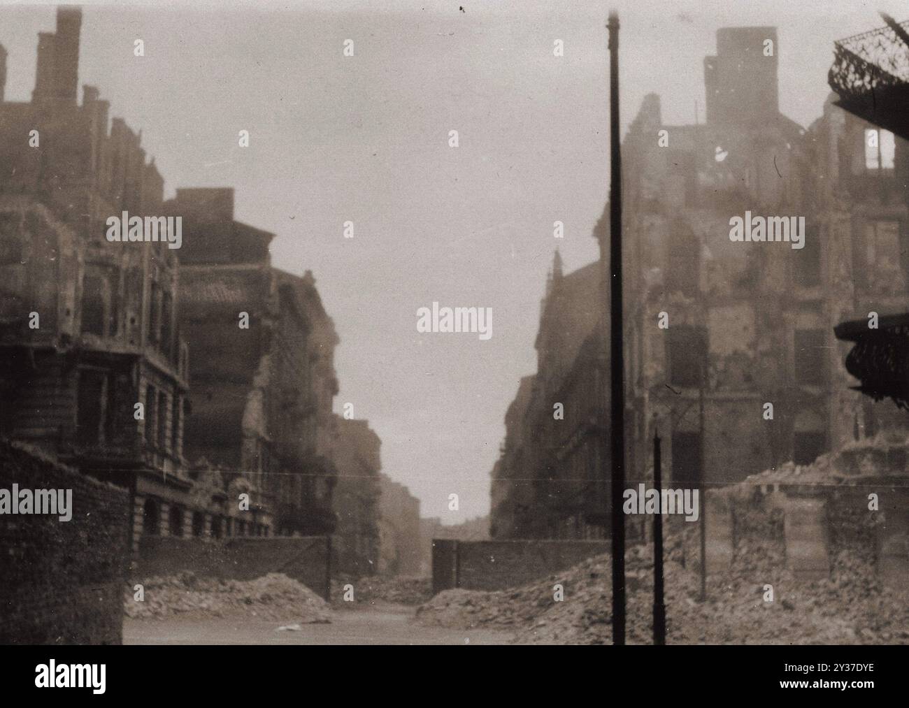 Dead poles hi-res stock photography and images - Alamy