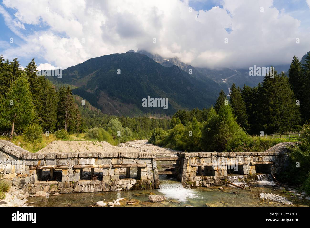 Stone bridge over mountain stream in alpine forest Stock Photo - Alamy