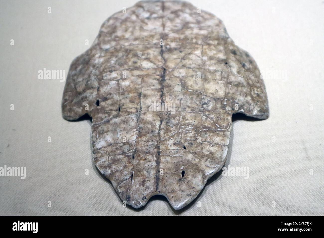 HAMI, CHINA - AUGUST 1, 2024 - An oracle bone inscriptions of the Shang ...