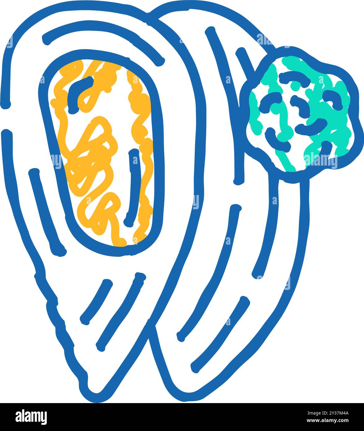 shellfish allergen free product food icon doodle illustration Stock ...