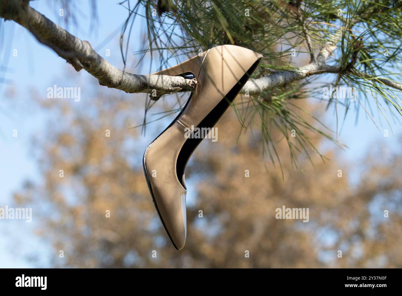 pair of beige heels hanging from a tree branch Stock Photo - Alamy