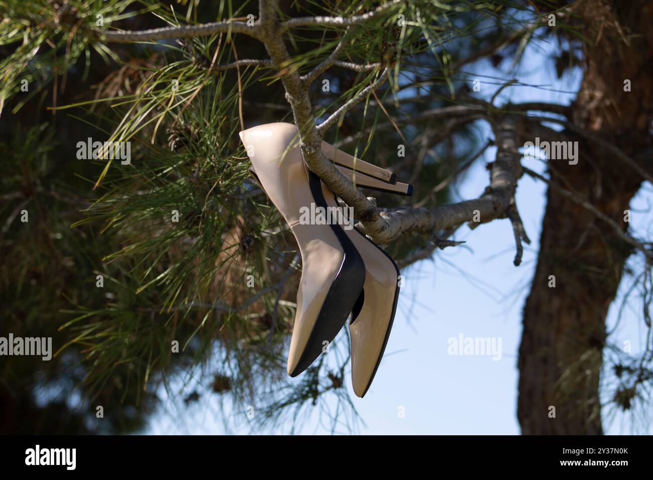 pair of beige heels hanging from a tree branch Stock Photo - Alamy